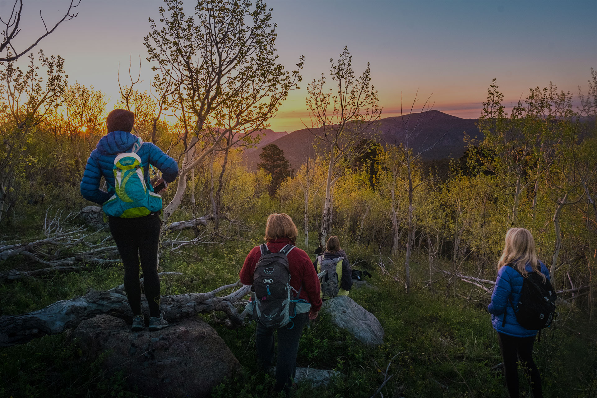 Home - Women's WildernessWomen's Wilderness